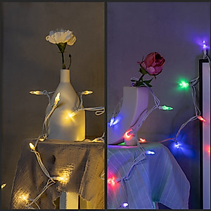 YULETIME 66 Feet 200 Count Color Changing LED String Lights with 10 Modes Remote Control, Warm White/Multicolor Variable Color Christmas Lights (White Wire)