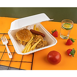 Azure Zone, 8 Inch, 1-Compartment Compostable Disposable Clamshell, 200 Pack, Eco Friendly, Biodegradable Made of Sugar Cane Fibers