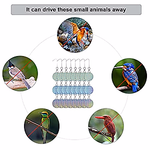 Mageloly 24 Pack Bird Reflective Disks, Woodpecker Deterrent Bird Repellent Devices Outdoor, Bird Deterrent Scare Discs