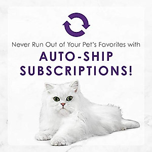 Purina Fancy Feast Gravy Wet Cat Food Variety Pack, Delights With Cheddar Grilled Collection - (24) 3 oz. Cans