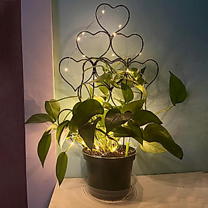 Ailibre Indoor Plant Trellis for Climbing Plants, Stackable Garden Trellis for Potted Plants, Small House Plant Trellis for Vine Ivy Flower Plant Support Outdoor DIY Metal Trellis 3 Pack, Black