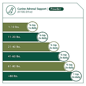 Standard Process Canine Adrenal Support - Canine Support Supplement for Adrenal Health - Nutritional Supplement for Liver & Kidney Support - Powder Dog Supplement Formula to Aid Adrenal Glands - 25 g