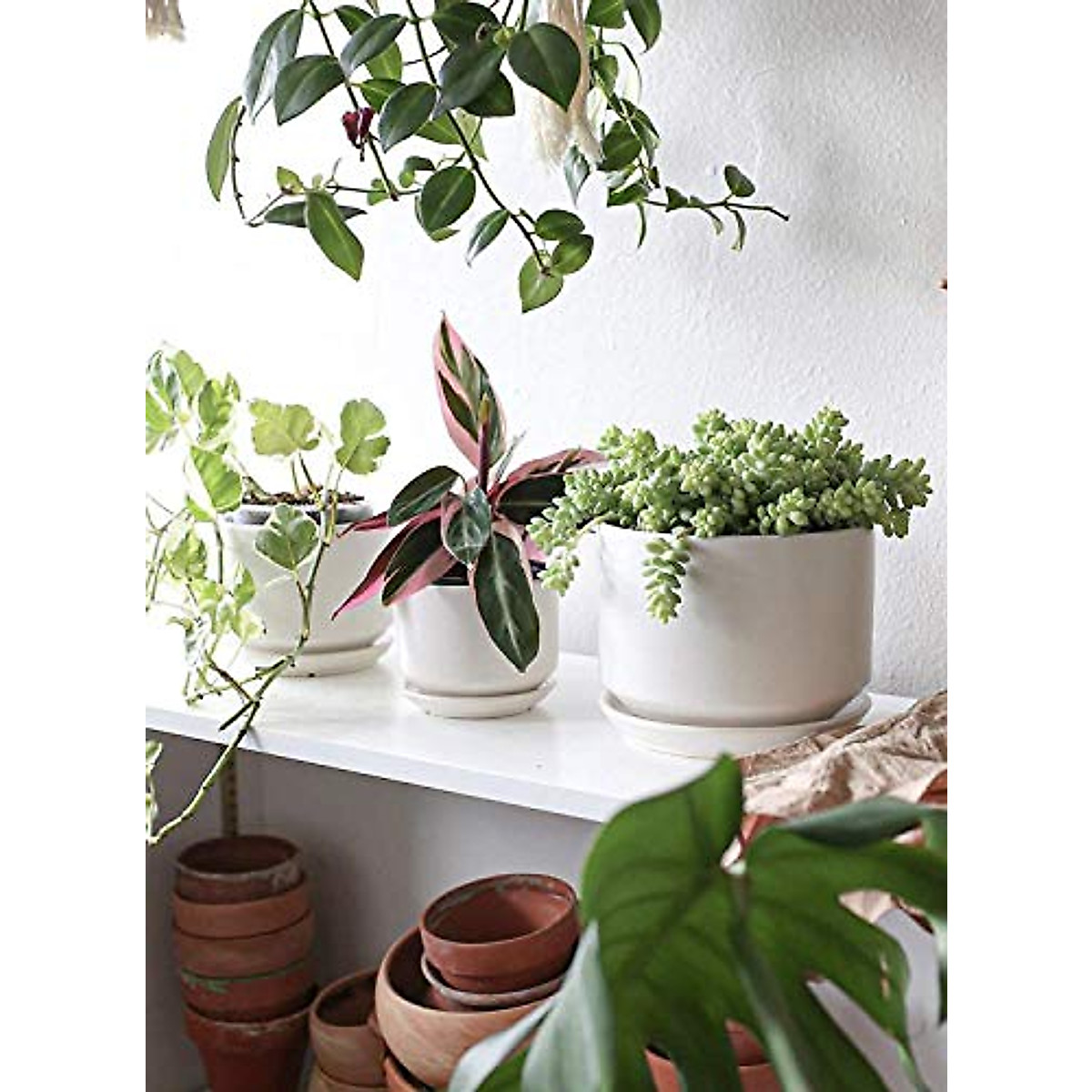 LE TAUCI Ceramic Plant Pots, 4.3+5.3+6.8 inch, Set of 3, Planters with Drainage Hole and Saucer, Indoor Flower Pot with Hole Mesh Pad, Gifts for Mom, White