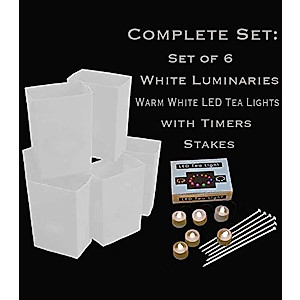 Set of 6 White Luminaries, Warm White LED Tea Lights with Timers & Stakes