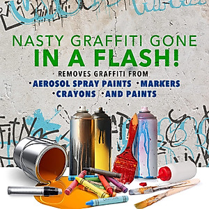 Smart 'n Easy Porous Surface Graffiti Remover - Eliminates Unwanted Graffiti from Unpainted Wood & Masonry Surfaces - Removes Aerosol Spray Paints, Crayon, Marker, Ink, Paint, Coatings - 1/2 Gallon