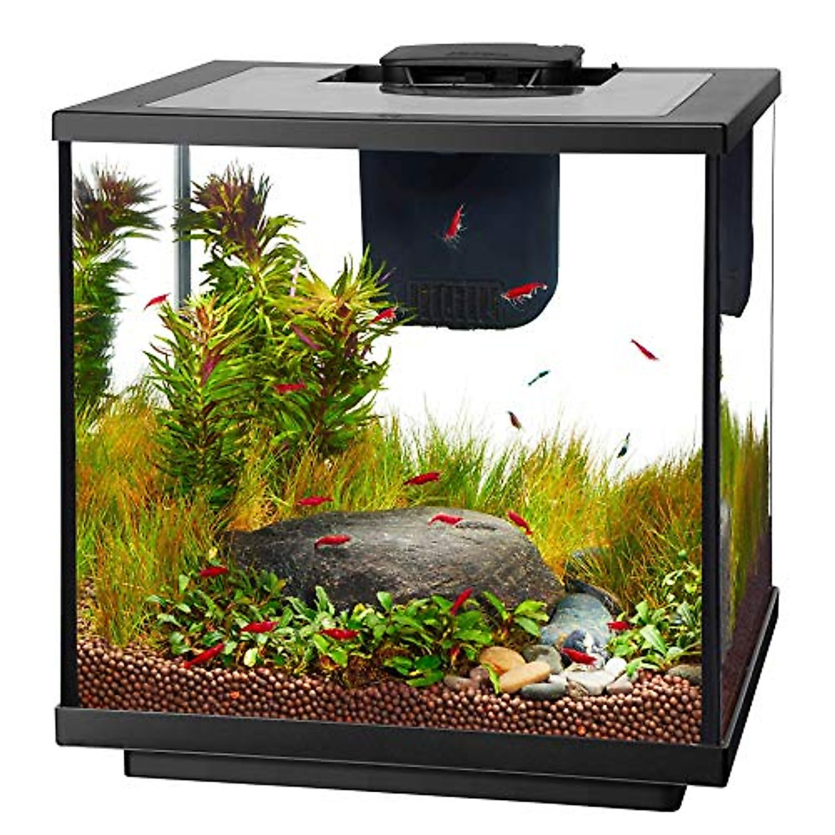 Aqueon 00800098: Aquarium Kit Led Shrimp Tank 7.5G