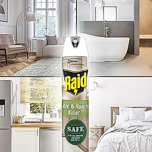 Raid Ant and Roach Killer 11 Ounce (Pack of 3)