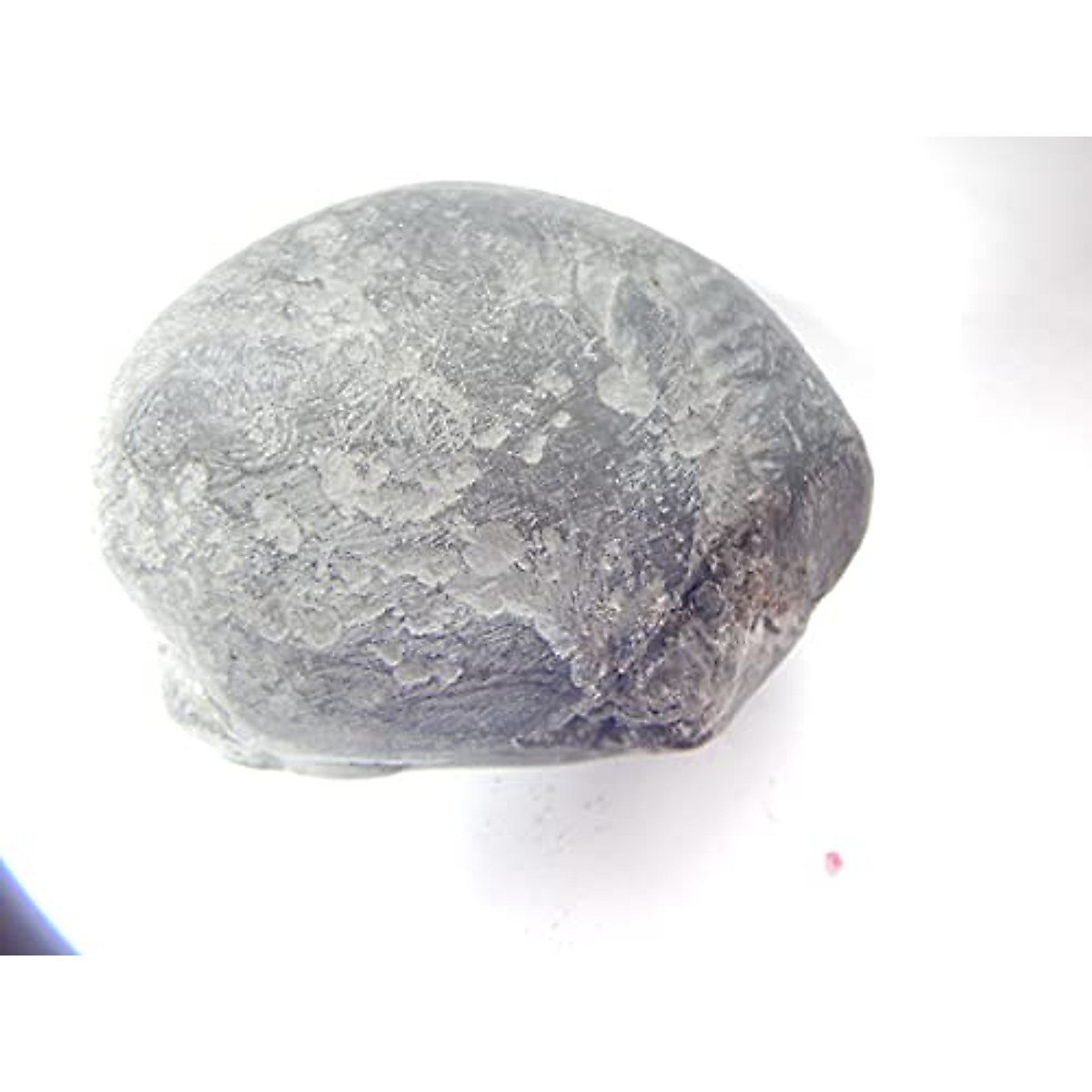 XUETZALCOATL Adwaitya Narsimha Maha Vishnu Shaligram Nepal Kali Gandaki