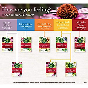 Traditional Medicinals Tea, Organic Echinacea Plus, Promotes Immune Function, w/ Spearmint, 96 Tea Bags (6 Pack)