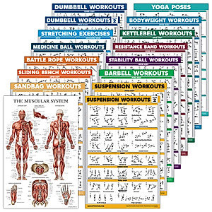 16 Pack - Exercise Workout Poster Set: Dumbbell, Suspension, Kettlebell, Bands, Medicine Ball, Battle Rope, Stretching, Bodyweight, Barbell, Yoga, Exercise Ball (PAPER - NOT LAMINATED, 18" x 24")