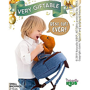Naturally KIDS Dinosaur Backpack, Dinosaur Toys for Kids 3-5, Toddler Backpack Boys 2-4, Dinosaur Toys for Kids 2-4, 3 Year Old Boy Birthday Gift, Dinosaurs for Boys Girls, Dinosaur Stuffed Animal