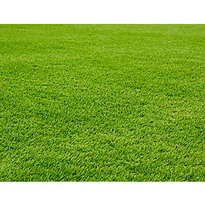 Nature's Seed TURF-CYDA-5000-F Bermudagrass Seed Blend, 5000 sq. ft.