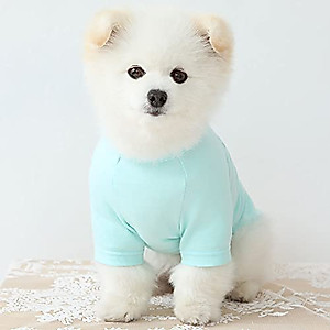 Lucky Petter Dog Shirt for Small Dogs Plain T-Shirts Soft Breathable Dog Cotton Shirt pet Clothes (Medium, Mint)