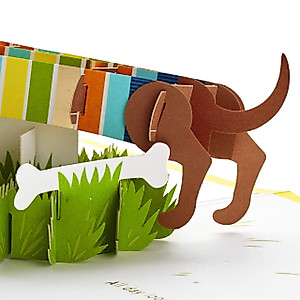 Hallmark Signature Paper Wonder Pop Up Birthday Card, Fathers Day Card (Dachshund, Happy All Day Long) (1299RZH1143)