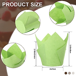 400 Pcs Tulip Cupcake Liners Baking Cups Tulip Muffin Liners Wrappers Greaseproof Tulip Baking Cups Holders for Christmas Wedding Birthday Baby Shower Party Supplies (Green Yellow Blue Pink)