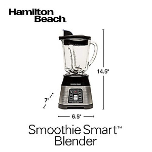 Hamilton Beach Smoothie Smart Blender with 5 Functions Including Auto-Cycle For Shakes & Smoothies, 40oz Glass Jar Dial, Stainless Steel (56208)