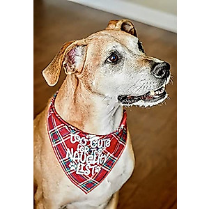 4 Pack Christmas Dog Bandanas, Classic Plaid Dog Scarf Bib, Premium Cotton Fabric, Holiday Bandanas for Small and Medium Dogs Pets