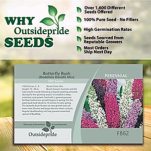 Outsidepride Buddleia Davidii Butterfly Bush Plan Garden Flower Seed Mix - 100 Seeds