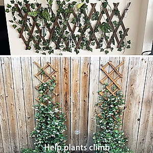 Wooden Lattice Wall 2Pack-Expandable Plant Garden Trellis for Climbing Plants Outdoor Air Plant Vertical Rack Wall Decor for Room Patio