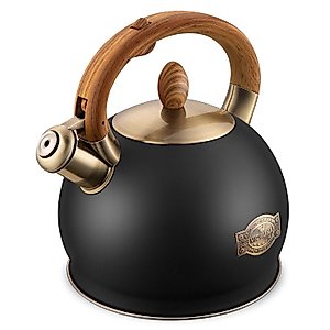 VICALINA Tea Kettle & Tea Pot, Stainless Steel Tea Kettle for Stove top, 2.64 Quart Whistling Loud Tea Kettles (Polished Gradient Green Blue)