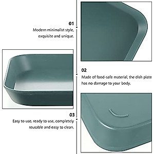 Abaodam 2pcs Melamine Resin Material Square Bone Spit Plates Fruit Trays Snack Plates