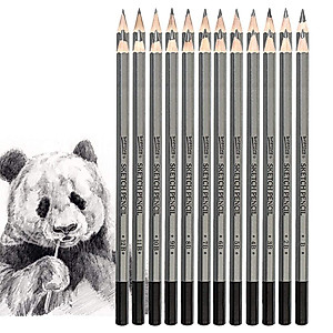 dainayw Professional Drawing Sketching Pencils Set, 24 Pieces Art Pencils (14B - 9H), Graphite Shading Pencils for Beginners & Pro Artists