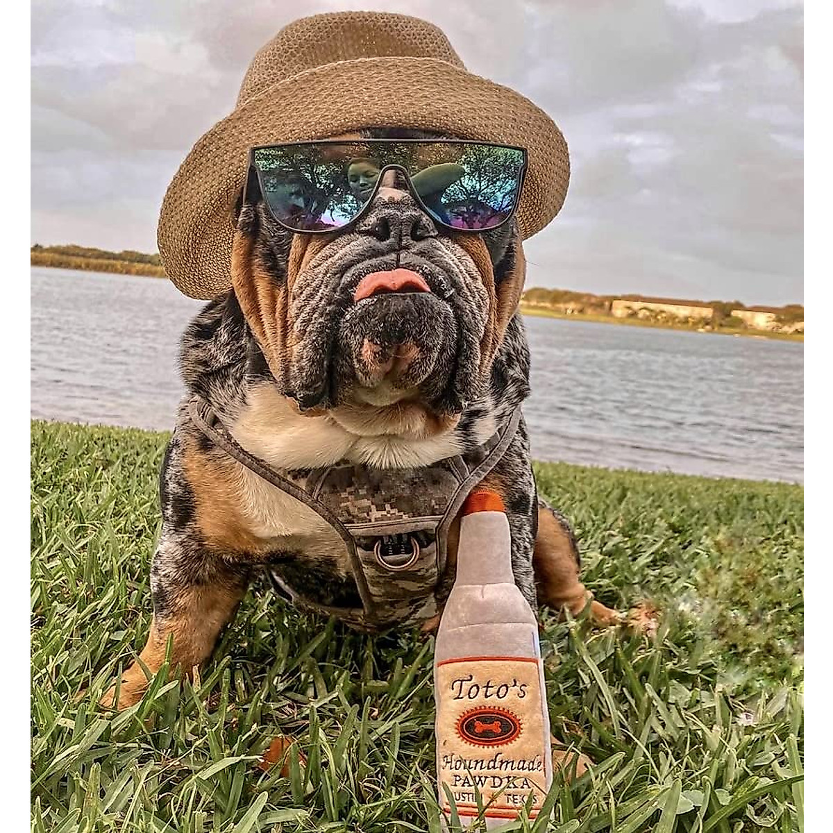 Nestpark Toto's Dog Toy - Funny Dog Toys - Plush Squeaky Crinkle Toys for Medium, Small and Large - Cute Dog Gifts for Dog Birthday - Cool Stuffed Dog Toys