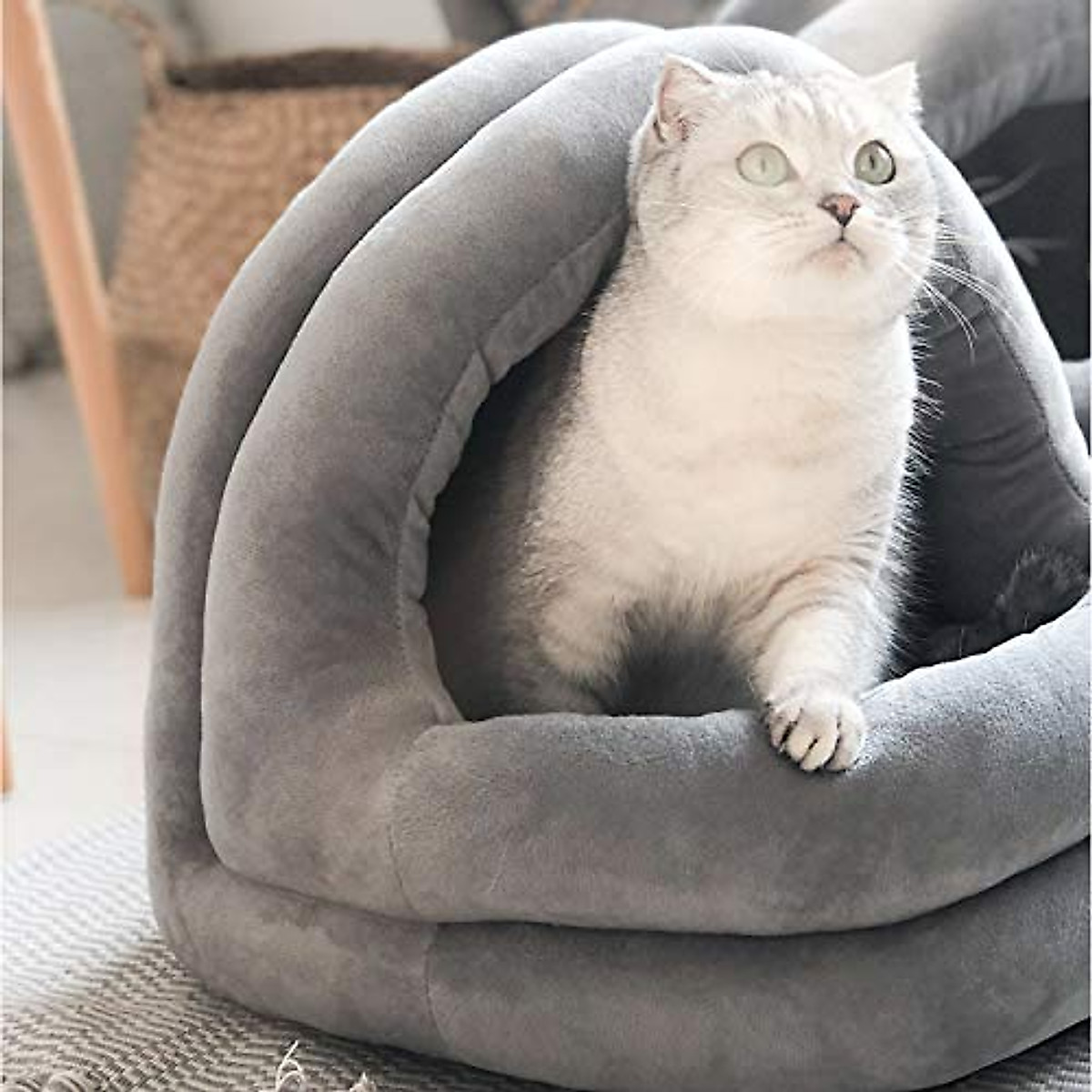 Tempcore Cat Bed for Indoor Cats, Machine Washable Cat Beds, Cat Beds for Indoor Cats or Small Dogs, Puppy, Kitty, Kitten, Rabbit, Anti-Slip & Water-Resistant Bottom