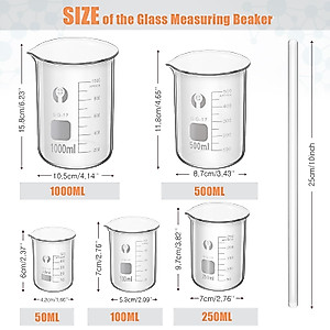 Feekoon 10 Pieces Glass Measuring Beaker Graduated Measuring Cylinder with Stirring Rod 50/100/ 250/500/ 1000 ml Thick Glass Beakers 5/10/ 50/100 ml Graduated Cylinders for Science Lab (9.8 Inch)