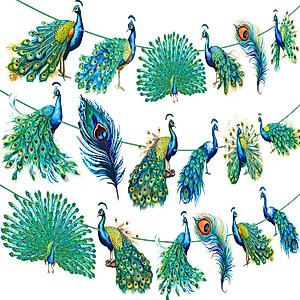 Peacock Party Banner Peacock Birthday Party Decorations Peacock Cutout Banner Peacock Birthday Party Supplies for Zoo Bird Theme Baby Shower Supplies