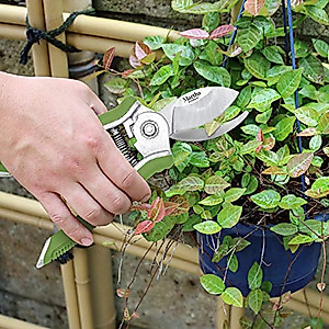 MARTHA STEWART MTS-SBP2 Flat Nose Bypass + Needle Pruner, 2-Pack