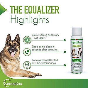 Vetoquinol Equalizer Pet Carpet Cleaner, Stain Remover & Odor Eliminator, Carpet Spot Cleaner, 20oz
