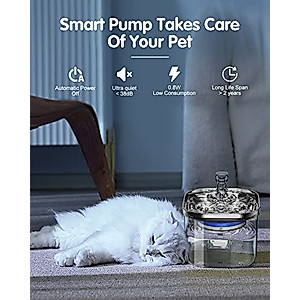 Cat Water Fountain, 68oz/2L 304 Stainless Steel Cats Fountain Water Bowl, Quiet Electric Automatic Pet Water Dispenser with 3 Filters, Pet Drinking Fountains for Cats, Small Dog, Multiple Pets