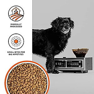 BIXBI Liberty Small Breed Grain Free Dry Dog Food, Chicken, 4 lbs - Fresh Meat, No Meat Meal, No Fillers for Easy Digestion - USA Made