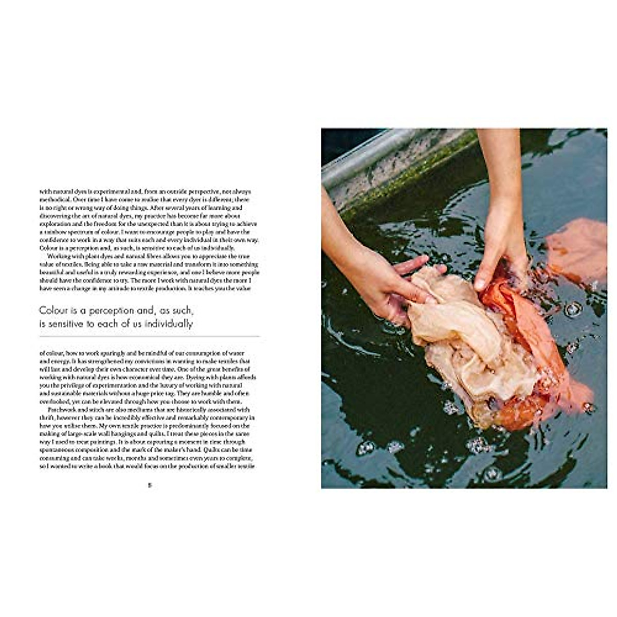 The Wild Dyer: A Maker's Guide to Natural Dyes with Projects to Create and Stitch