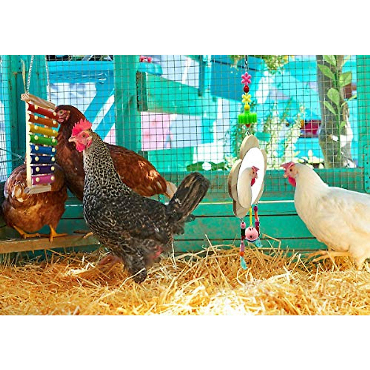 Vehomy 2Pcs Chicken Toys for Hens Chicken Mirror Toy with Bell and Chicken Xylophone Toy for Chicks Hens Roosters