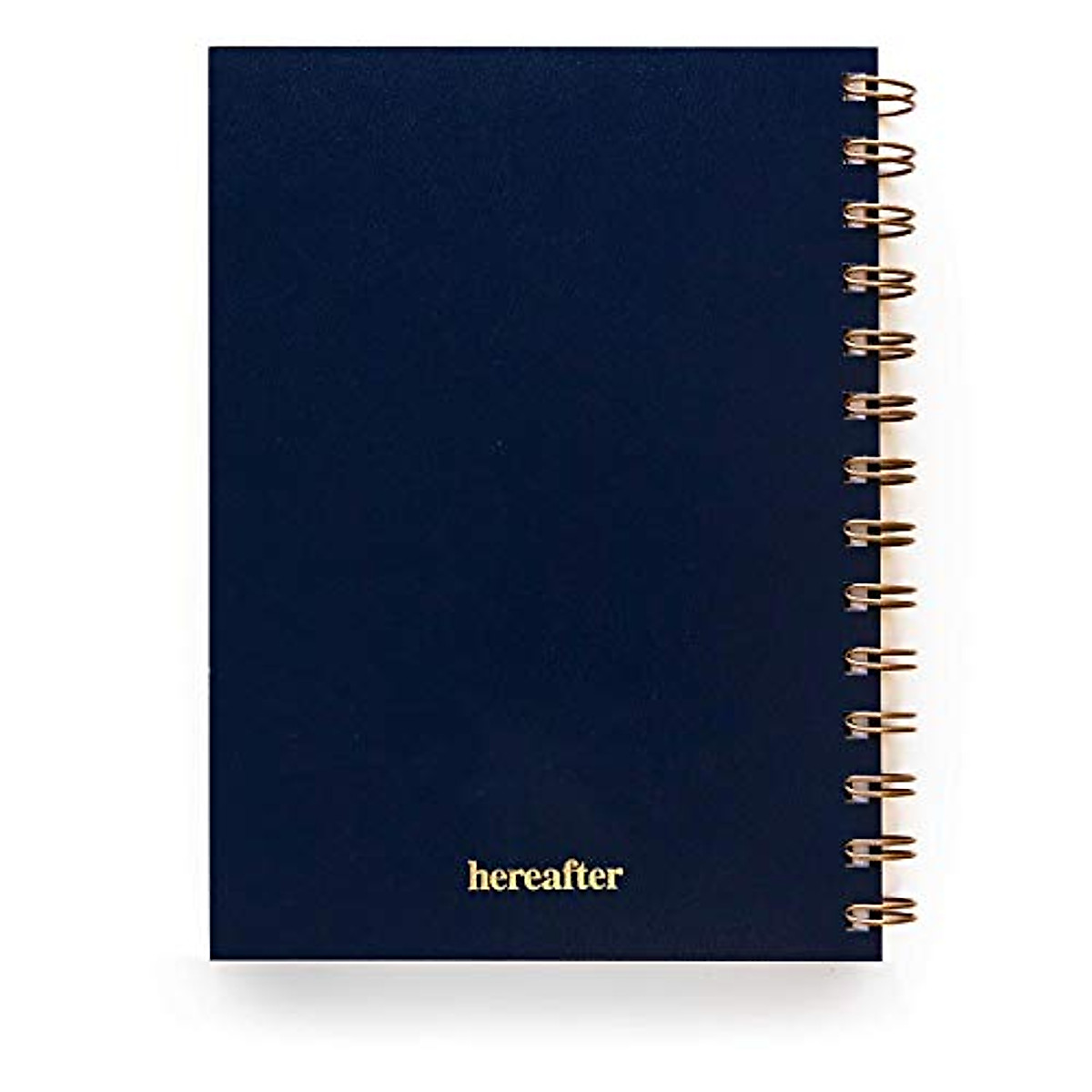 Conch Shell Wood Journal [Notebook, Sketchbook, Spiral Bound, Blank Pages, Father's Day, Gifts for Dad]