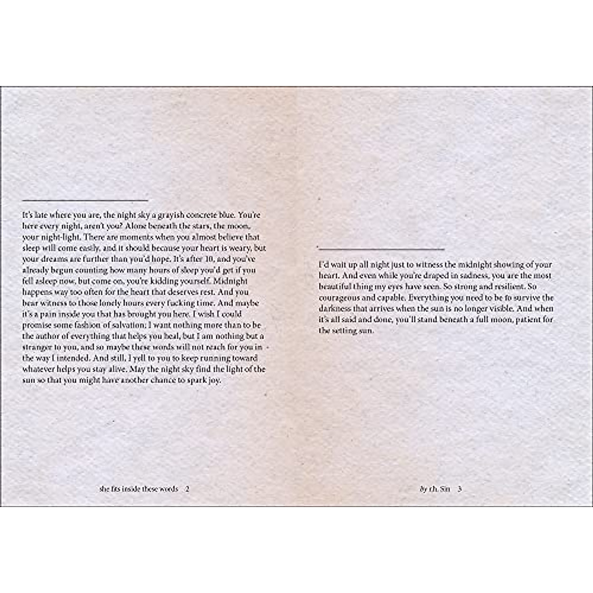 She Fits Inside These Words (Volume 4) (What She Felt)