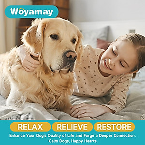 Woyamay Dog Calming Diffuser - Dog Pheromones Calming Diffuser for Dog Anxiety Relief 6-in-1 Dog Pheromone Diffuser Kit with 2 Diffuser + 4 Refill 48ml Vial - 120 Days Pheromone Diffuser to Calm Dogs