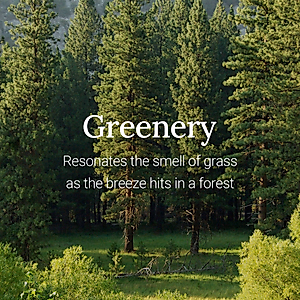 WELCOS Frudia Reproust Essential Blending Lip Butter Greenery | Korean Skin Care & Personal Care Products | Lip Oil Moisturizer, Lip Balm Beauty & Personal Care for Dry & Chapped Lips 0.35 fl. oz.