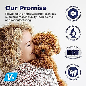 Glandex Dog & Cat Anal Gland Sac Fiber Supplement Powder with Pumpkin, Digestive Enzymes & Probiotics – Vet Recommended Healthy Bowels & Digestion - Boot The Scoot 2.5oz Beef Liver - by Vetnique Labs