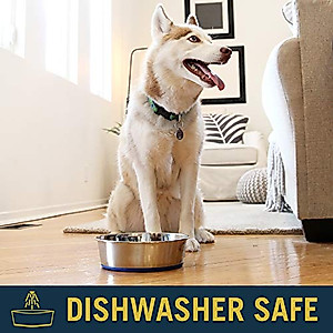 OurPets DuraPet Premium Dishwasher Safe Stainless Steel Dog Bowl for Food or Water [Multiple Sizes for Small to Large Dogs] in Traditional or Wide Base Design - 7 CUP