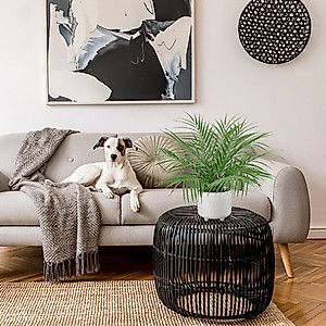 Hollyone Large Artificial Potted Plants Fake Palm Plants 19" Faux Green Plant Plastic Tropical Palm Tree in White Ceramic Pots Bohemian for Home Room Office House Indoor Decoration