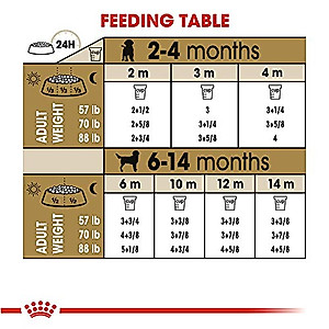 Royal Canin Breed Health Nutrition Labrador Retriever Puppy Dry Dog Food, 30 lb.