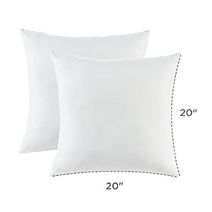 Codi Outdoor Pillow Inserts Set of 2, 20x20 Throw Pillows Insert, Water Resistant Decorative Stuffing Cushion for Patio Furniture. Couch, Porch Indoor Outdoors