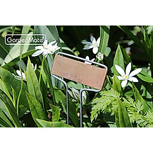 GardenMate 25-Pack Weatherproof Banner Copper Metal Plant Labels, Height 10.5", Label Area 2.5'' x 7/8''