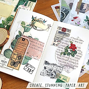 FAYWARE Washi Vintage Stickers for Scrapbooking - Ephemera Sticker Book for Journaling with 453 Botanical Stickers and 20 Scrapbook Papers. Ephemera for Junk Journals, Journaling Supplies for Adults