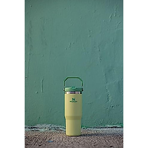 Stanley IceFlow Stainless Steel Tumbler - Vacuum Insulated Water Bottle for Home, Office or Car Reusable Cup with Straw Leak Resistant Flip Cold for 12 Hours or Iced for 2 Days, Citron, 30oz