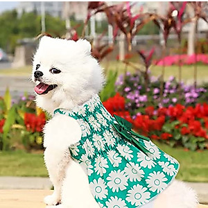 Albrost 4 PCs Dog Bow-Knot Floral Dress, Pet Princess Dresses for Small Girl Dog, Braces Suspender Skirt, Puppy Summer Sundress Doggy Outfit Dogs Cats Rabbits (Small)
