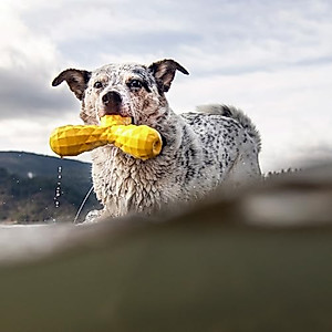 Hound2O Outdoor Dog Toys - Squeaky Boomerang, Yellow - Tough, Engaging, Interactive Toys for All Breeds - Chew, Chase, & Fetch - Durable Non-Toxic Materials That Float, Easy to Clean for Outdoor Play